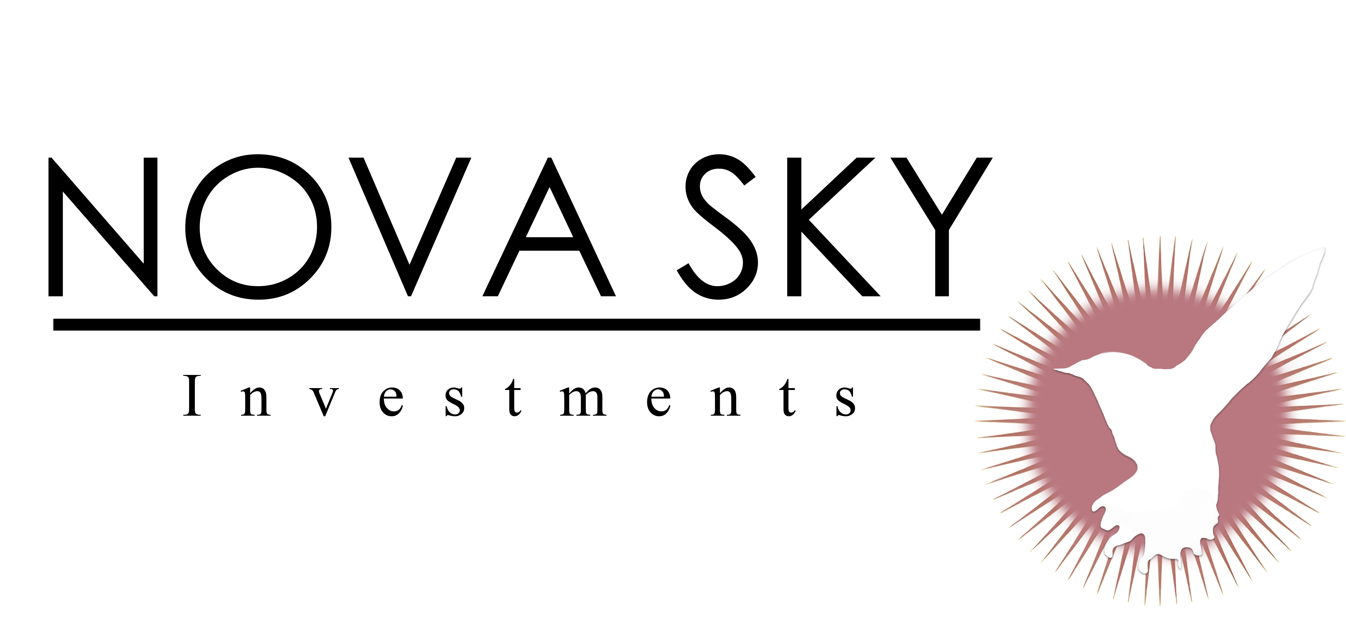 Nova Sky Investments, LLC. – COPYRIGHT © 2025 . ALL RIGHTS RESERVED.
